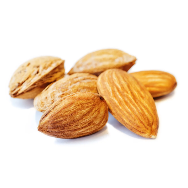 Almond Nuts – GLOBAL SUPPLIES HUB